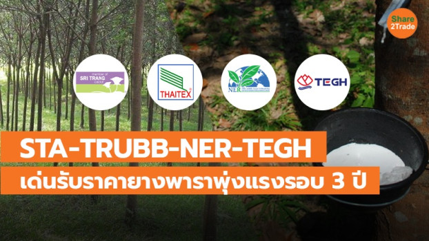 STA-TRUBB-NER-TEGH เด่นรับราคายางพาราพุ่งแรงรอบ 3 ปี | Share2Trade